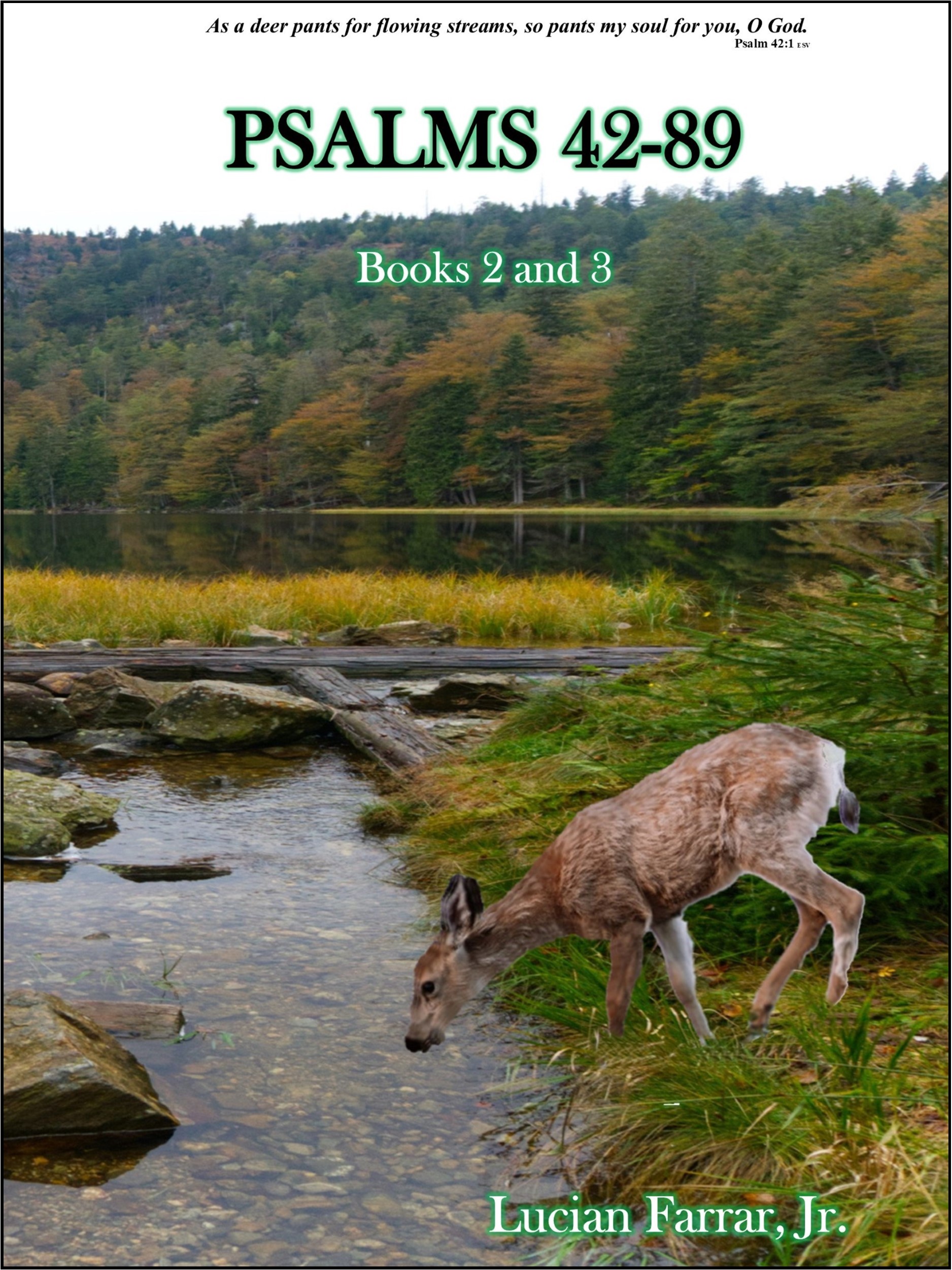 Bookstore James Kay Publishing